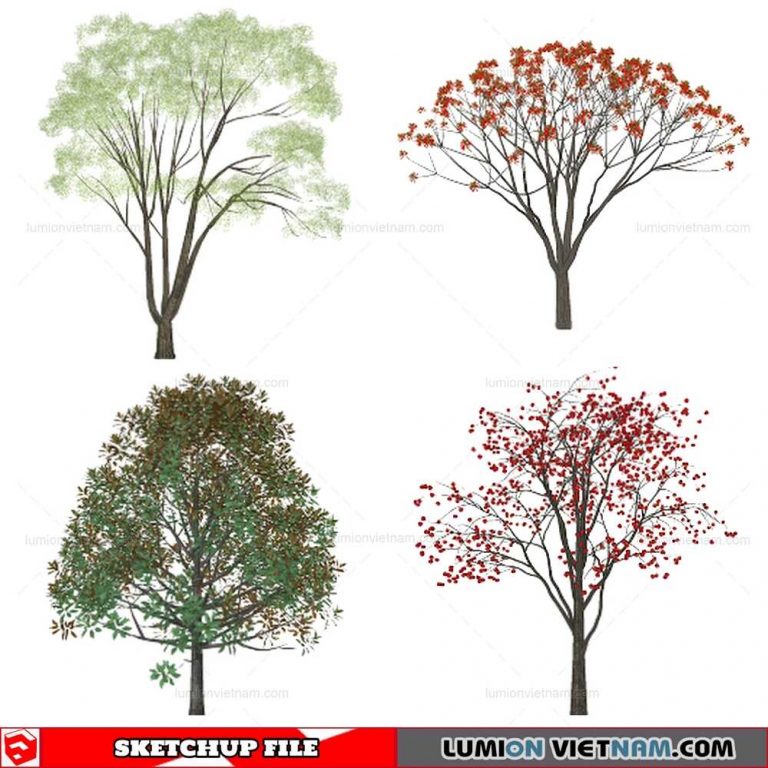 3d Trees Sketchup Models - Free Download