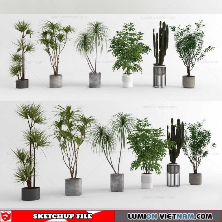 Plant Pots - Sketchup Models By Cuong Covua