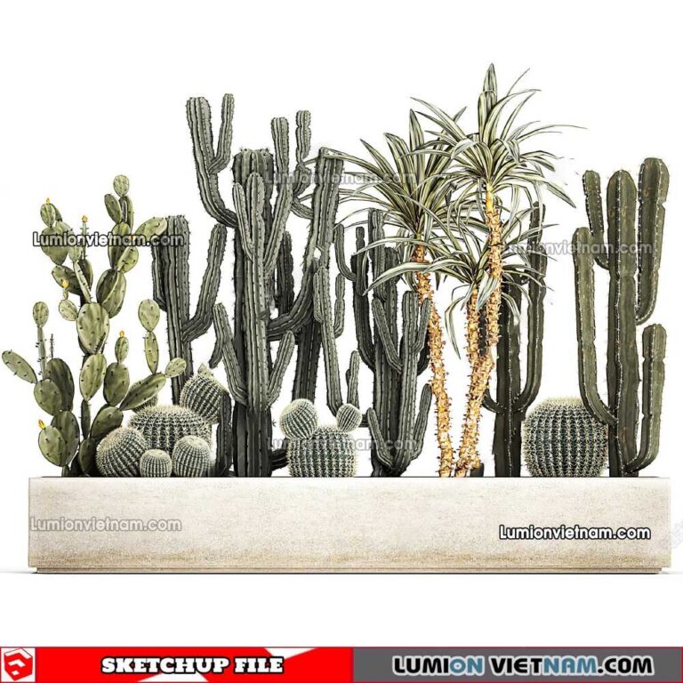 230227. Cactus Sketchup Models